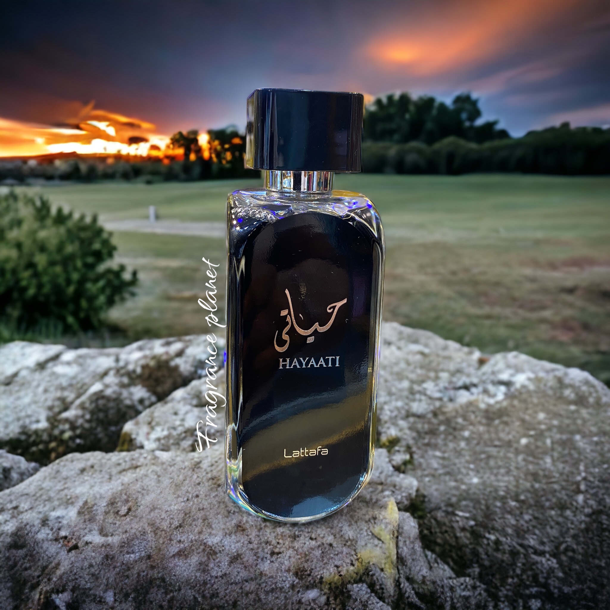 Buy LATTAFA SAKEENA | Fragrance Planet